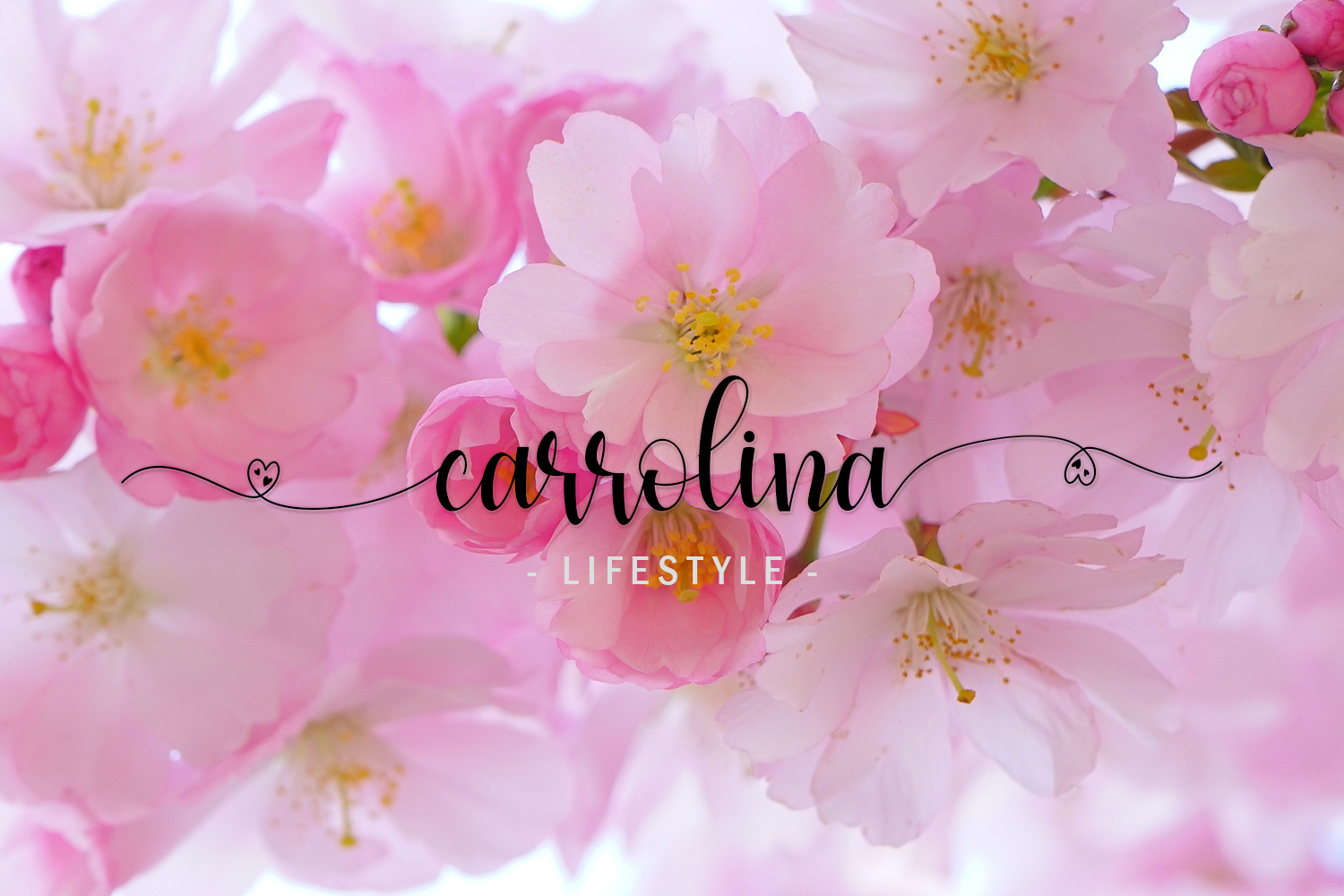 Simple Script, Fonts | GraphicRiver