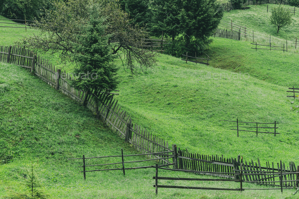 Green Rural Area Stock Photo by baspentrubas | PhotoDune