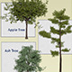 Trees 3D Render, Graphics | GraphicRiver