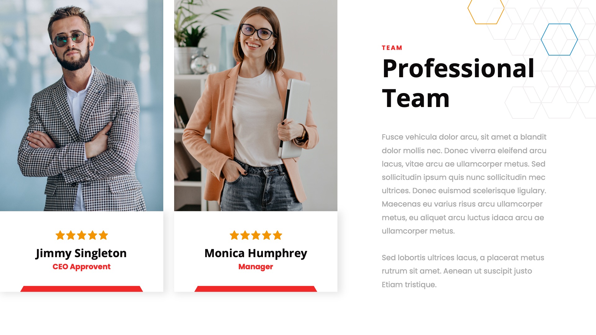 APPROVENT - Project Timeline & Planning Keynote Template by MasdikaStudio