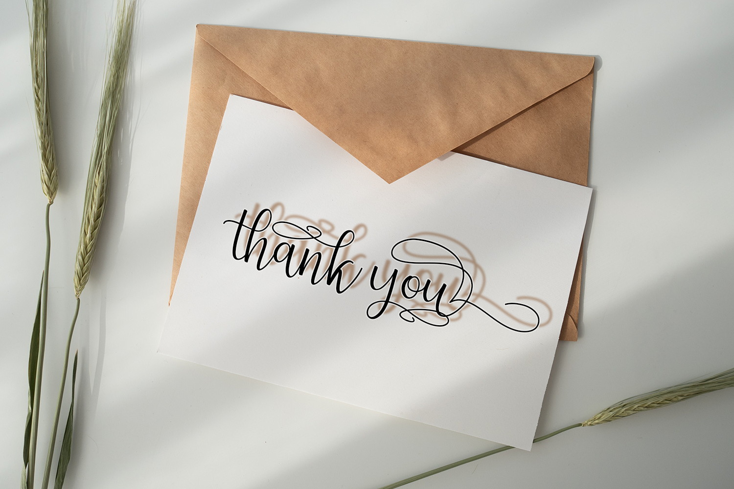 Aesthetic Script, Fonts | GraphicRiver