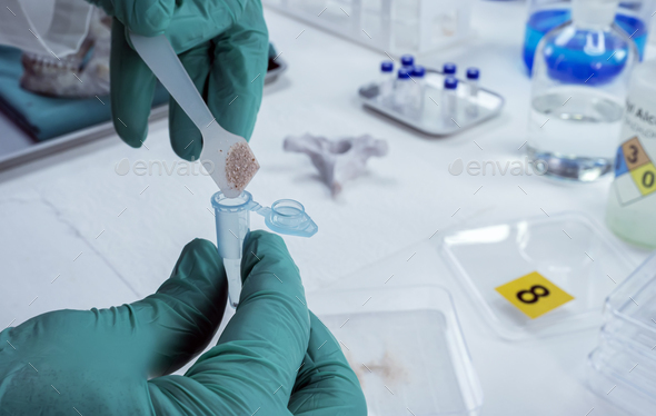 Forensic scientist deposits vertebral bone sample from human skeleton ...