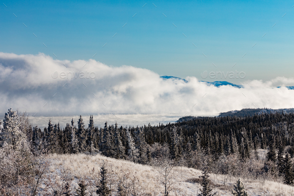 Thick fog rising from Lake Laberge Yukon Canada Stock Photo by pilens