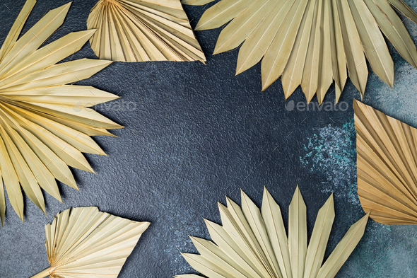 Flat lay dried palm tree leaf on blue background. Trendy dried palm ...