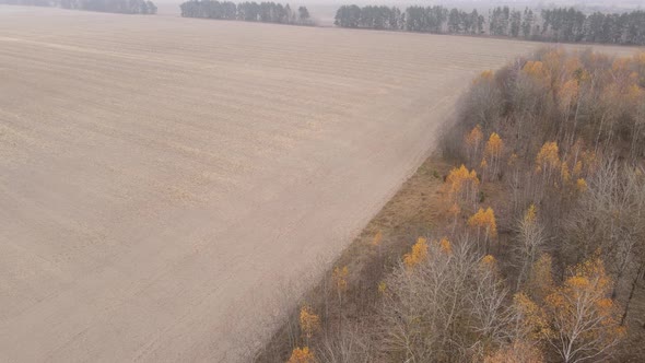 Empty Plowed Field in Autumn Aerial View, Stock Footage | VideoHive