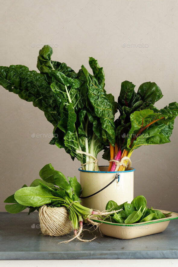 Variety of spinach Stock Photo by nualaimages | PhotoDune