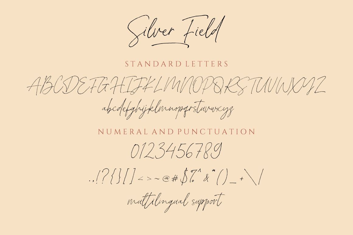 Silver Fields - Signature Font, Fonts | GraphicRiver