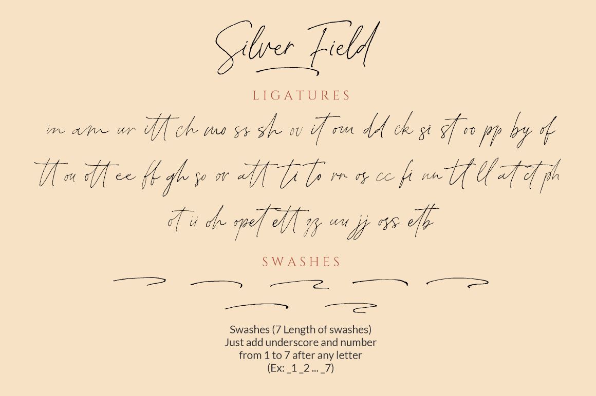 Silver Fields - Signature Font, Fonts | GraphicRiver