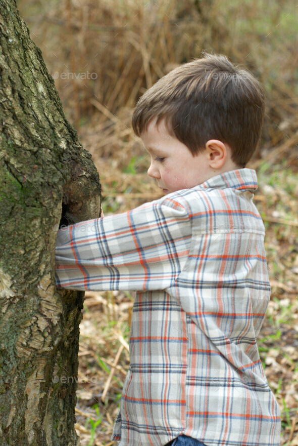 Boy reaching inside tree Stock Photo by nualaimages | PhotoDune