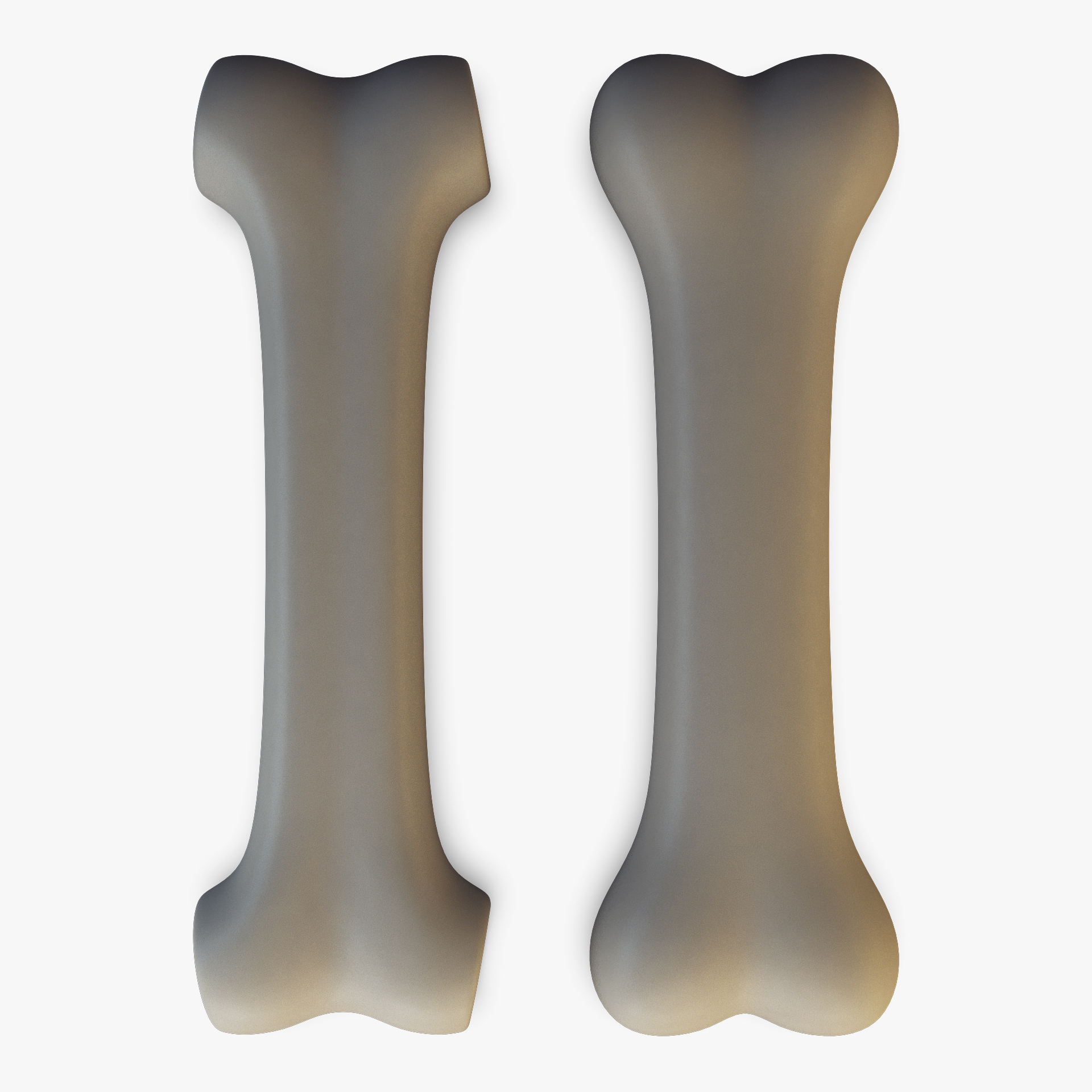 Cartoon Bone v 2 by Zurel | 3DOcean