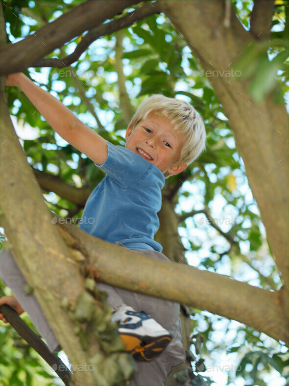 Boy, 7 playing in tree Stock Photo by ImageSourceCur | PhotoDune