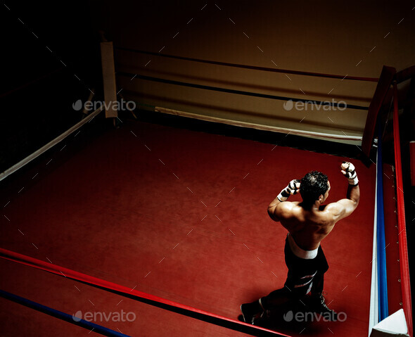 Boxer in boxing ring Stock Photo by ImageSourceCur | PhotoDune