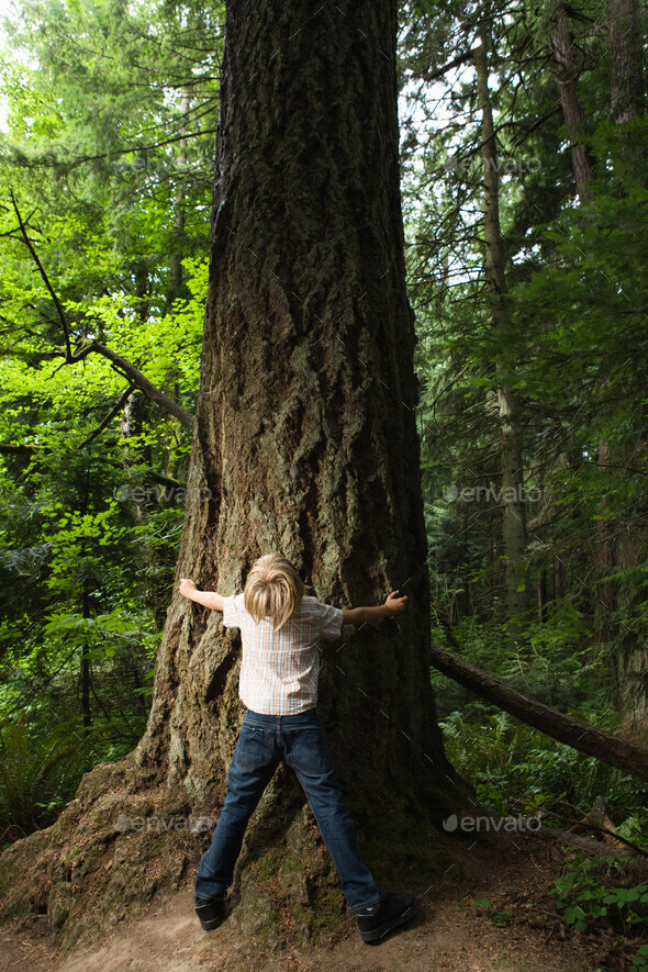 Boy looking up at tree Stock Photo by nualaimages | PhotoDune