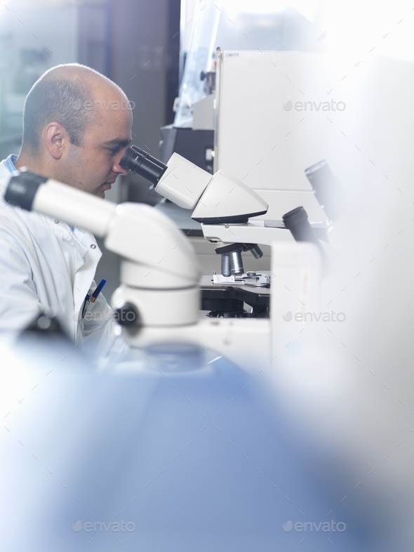 Scientist viewing parasites under light microscope in laboratory ...
