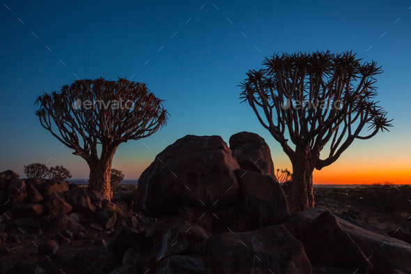 Trees and rocks in savanna Stock Photo by ADDICTIVE_STOCK | PhotoDune