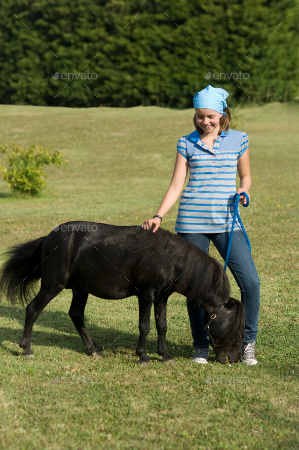 Miniature horse running Stock Photo by Image-Source | PhotoDune
