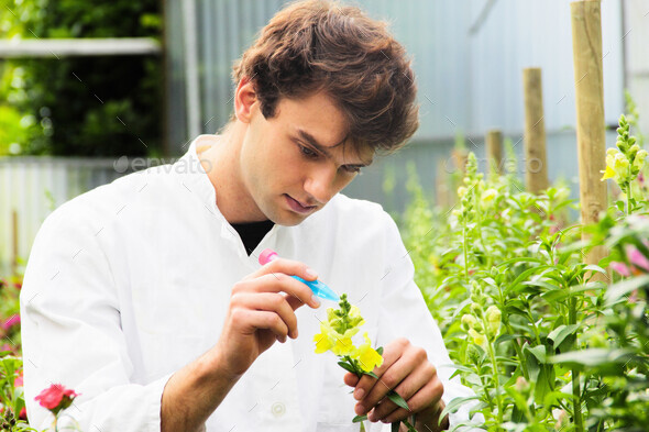Scientist examining flower in garden Stock Photo by Image-Source ...