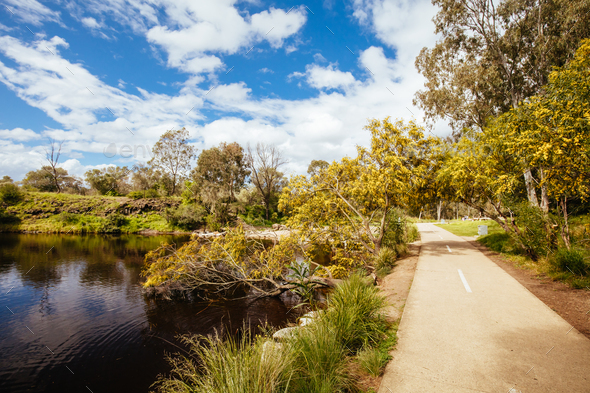 Darebin Parklands in Melbourne Australia Stock Photo by FiledIMAGE