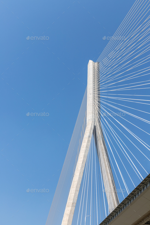 upward view of the cable-stayed bridge Stock Photo by chuyu2014 | PhotoDune