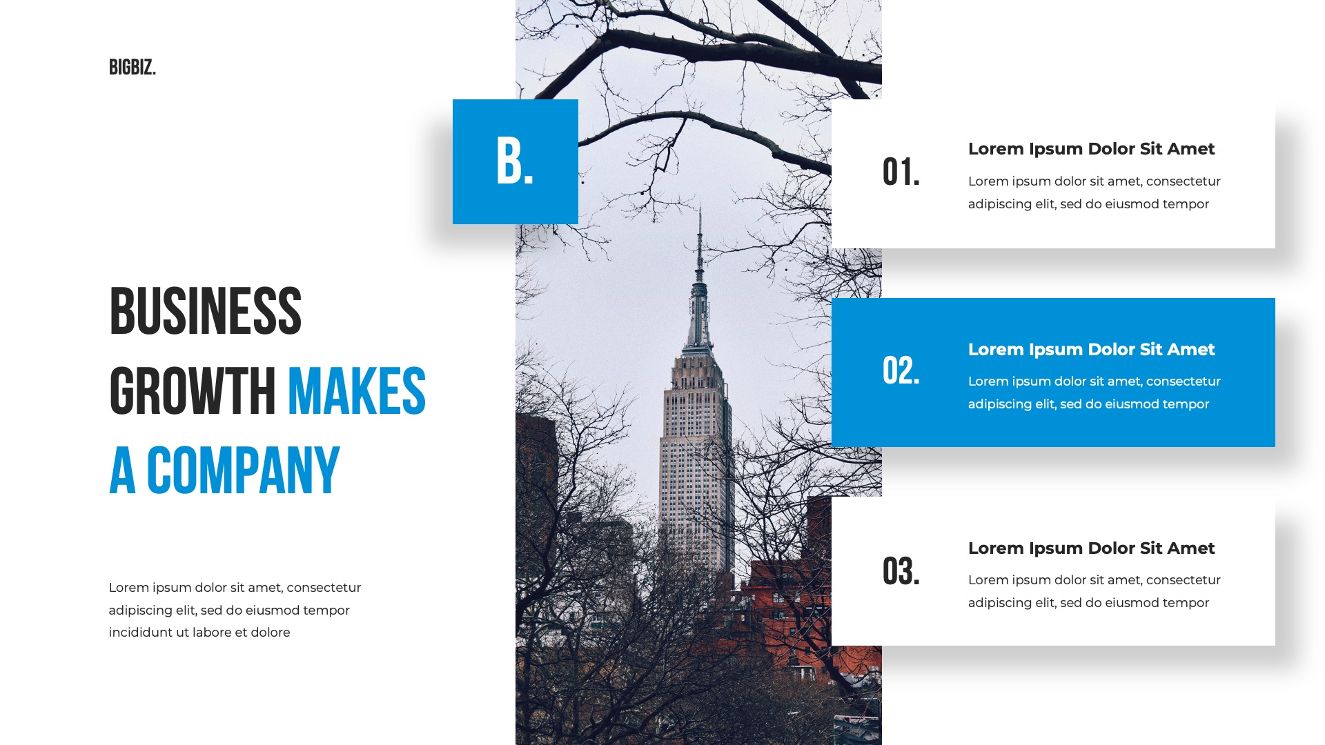 BIGBIZ - Corporate Business Google Slides Template, Presentation Templates