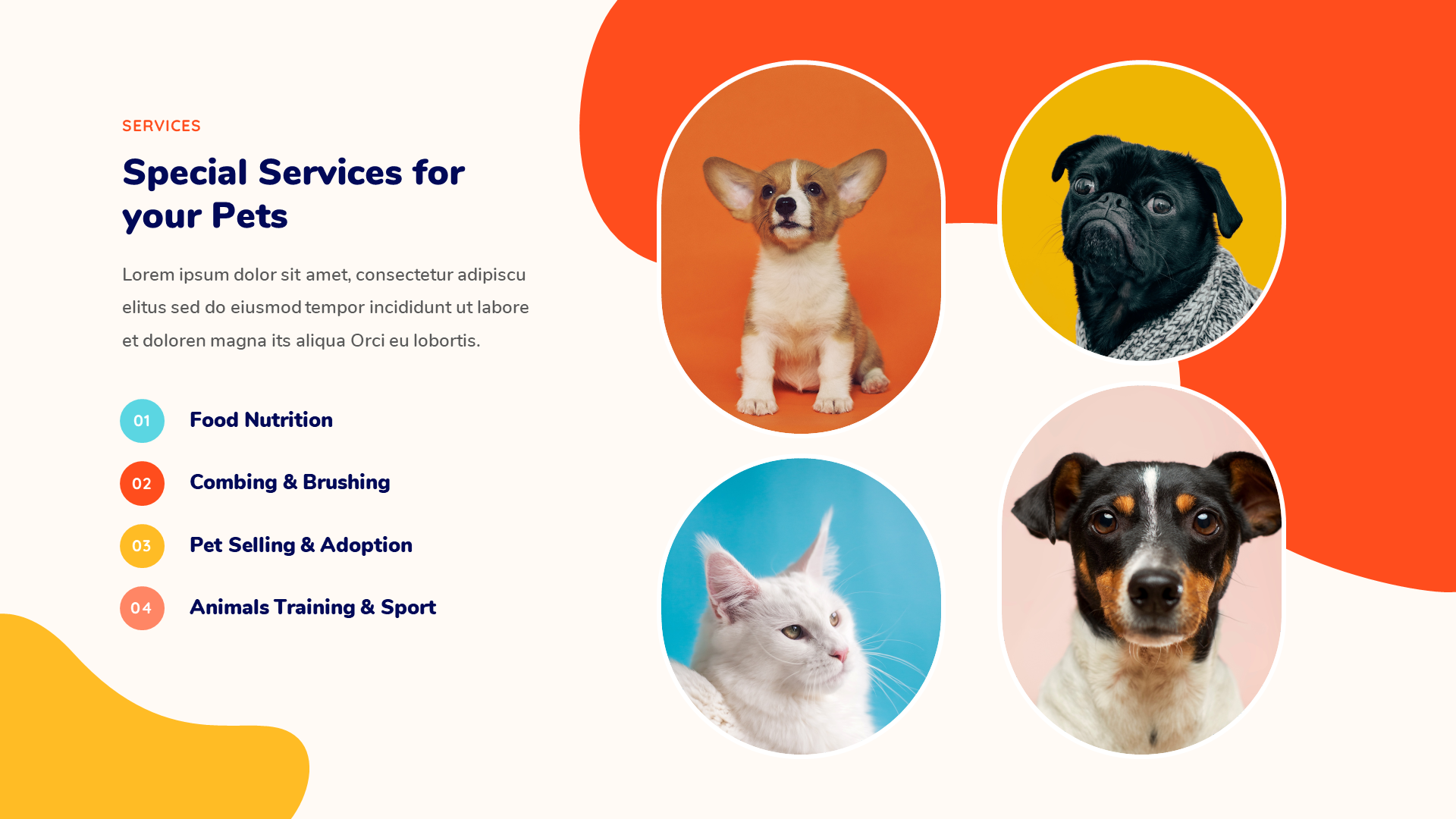 Pethouse - Pet Care & Animal Service PowerPoint Template, Presentation ...