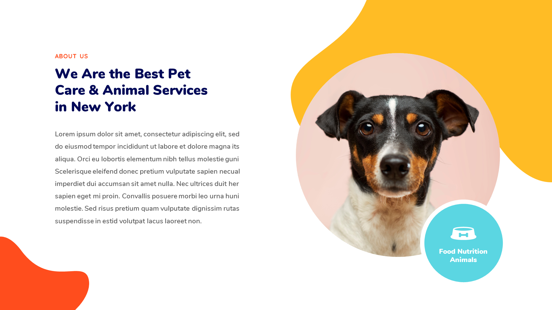 Pethouse - Pet Care & Animal Service PowerPoint Template, Presentation ...