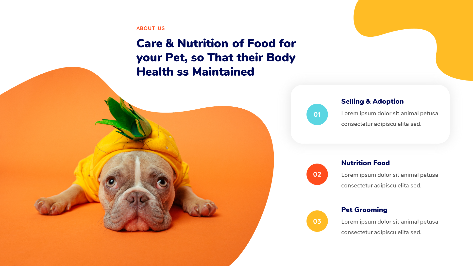 Pethouse - Pet Care & Animal Service PowerPoint Template, Presentation ...