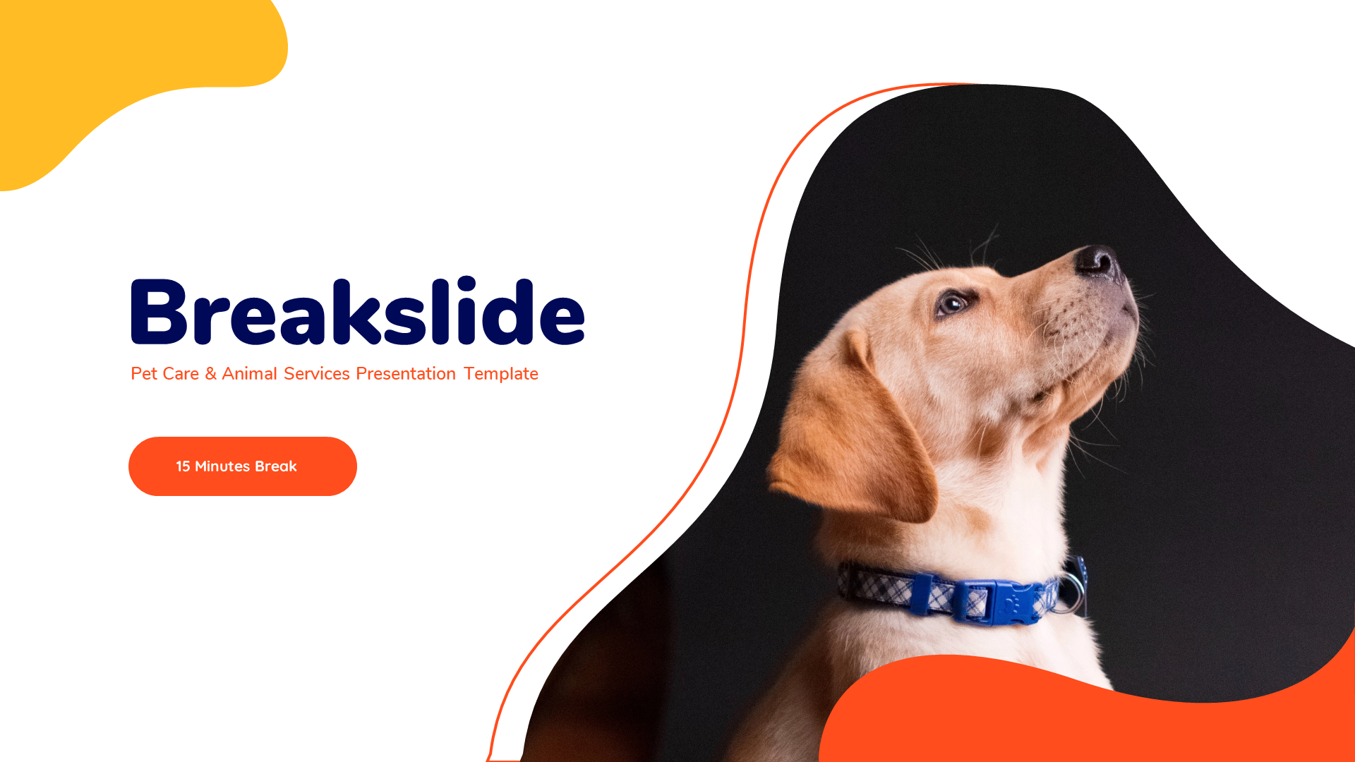 Pethouse - Pet Care & Animal Service Google Slides Template ...