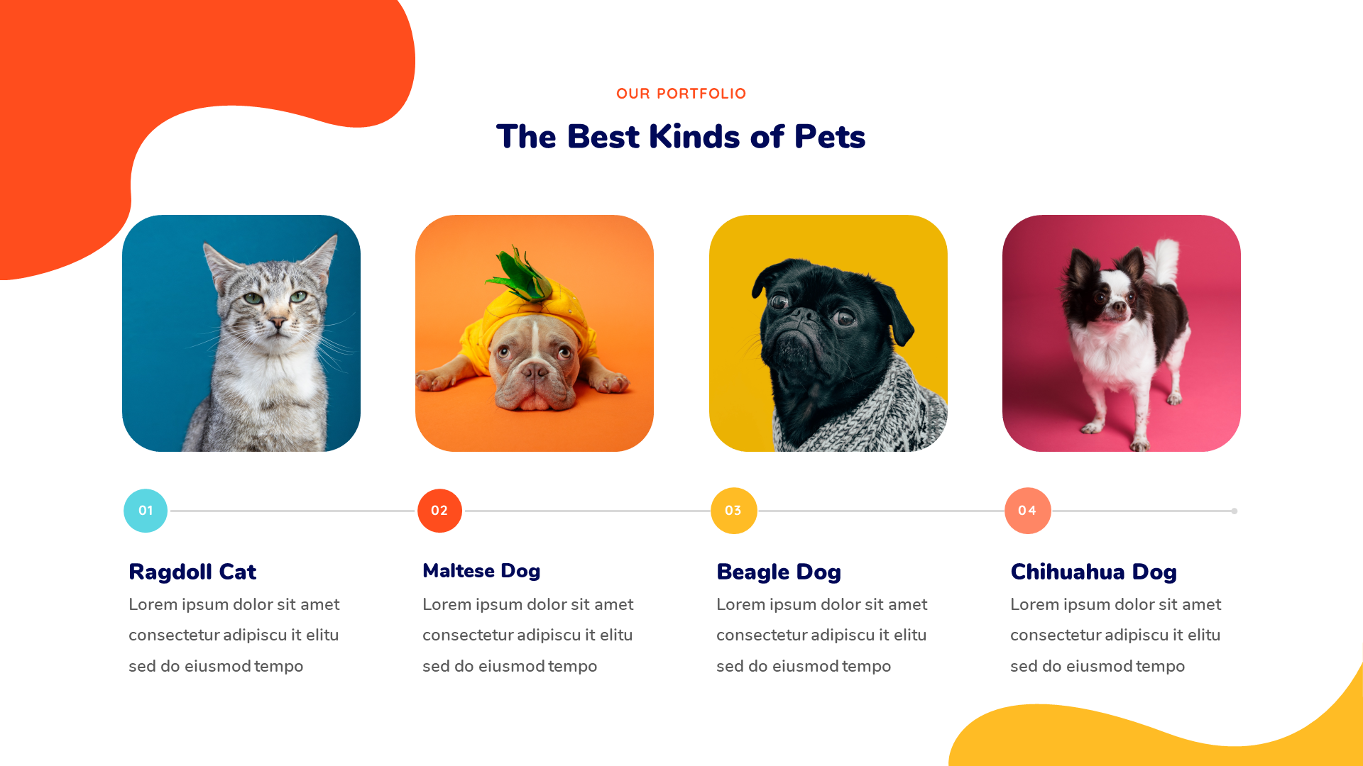 Pethouse - Pet Care & Animal Service Google Slides Template ...