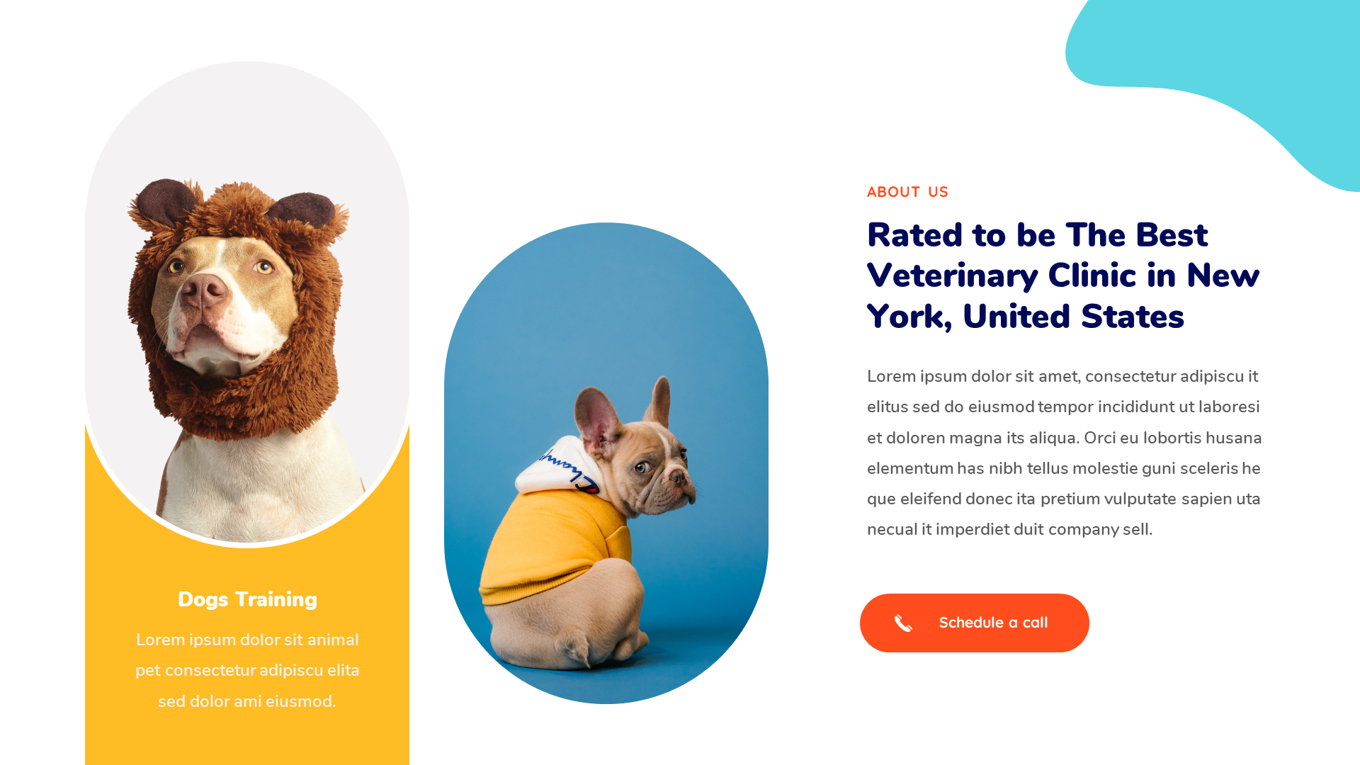 Pethouse - Pet Care & Animal Service Google Slides Template ...