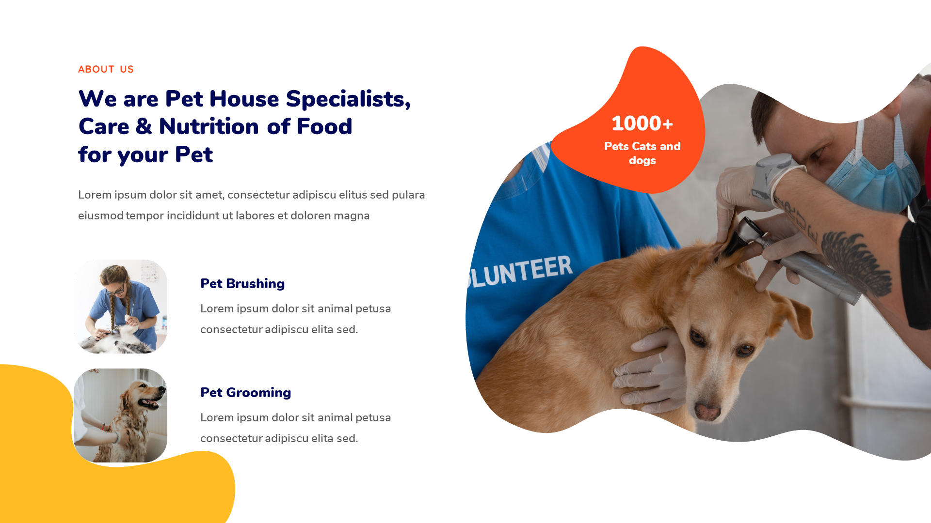 Pethouse - Pet Care & Animal Service Google Slides Template ...