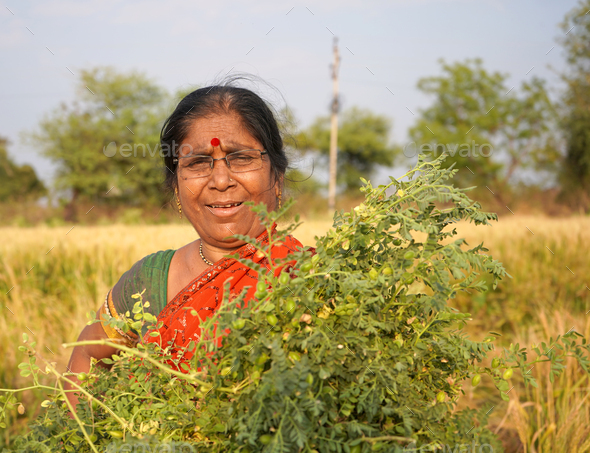 Rural Indian women in the field, Maharashtra, India. Stock Photo by ...