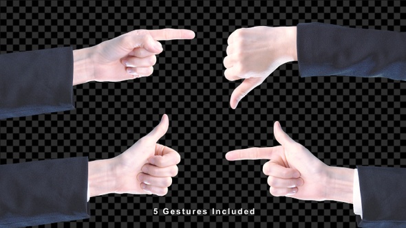 Gesture Of Hands With Alpha, Stock Footage | VideoHive