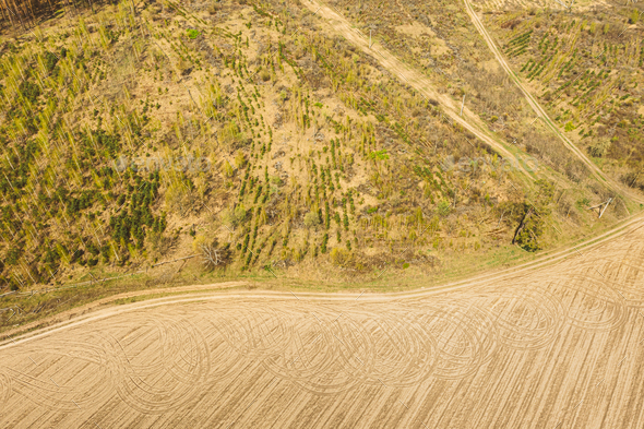 Aerial View Of Minimalistic Rural Landscape. Bird's-eye View Of ...