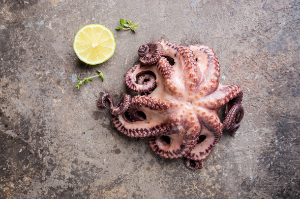 Boiled fresh octopus Stock Photo by ipolly80 | PhotoDune