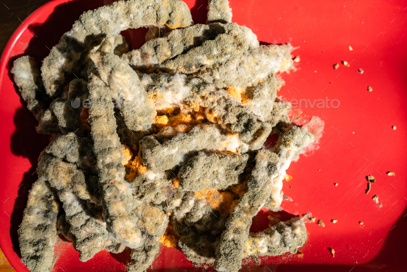 moldy french fries closeup, fungal moldy on unhealthy old food on plate ...