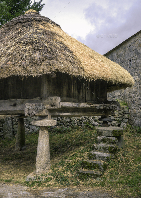 An old wooden granary with stone pillars and stairs and thatched roof ...