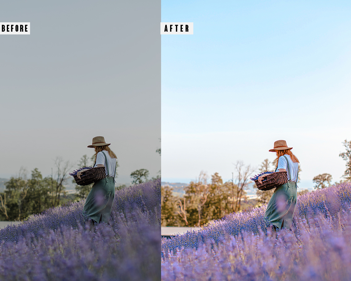 Lavender Photoshop Action & Lightrom Presets, Add-ons | GraphicRiver