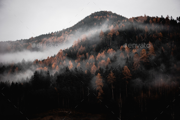 Hill with murk forest in fog Stock Photo by ADDICTIVE_STOCK | PhotoDune
