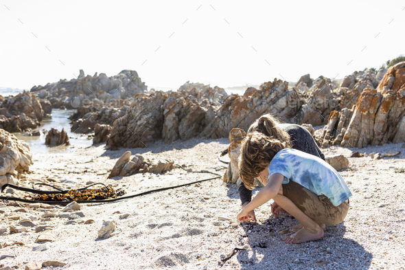 Two people, boy and girl collecting shells on a beach Stock Photo by ...