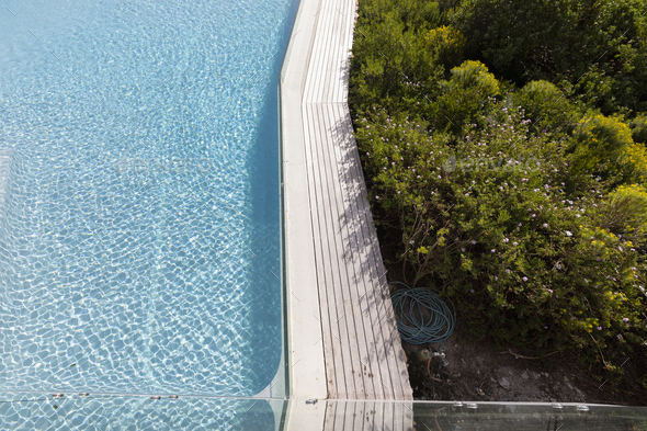 Aerial view of a swimming pool with a paved edge and plants in a garden ...