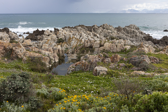 Rocky jagged coastline, rock pool and view out to the ocean Stock Photo ...