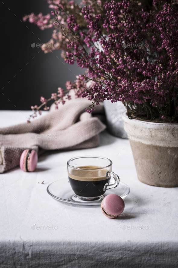Cup of espresso with macaroons Stock Photo by ADDICTIVE_STOCK | PhotoDune
