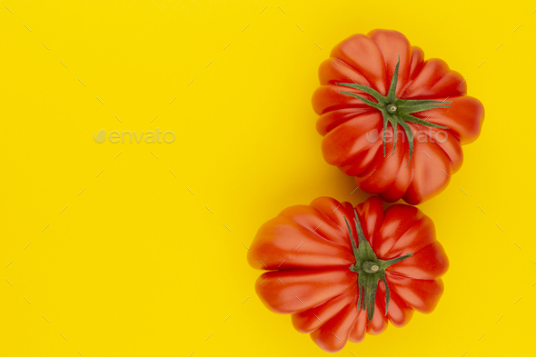 Tomato on the color background. Stock Photo by GitaKulinica | PhotoDune
