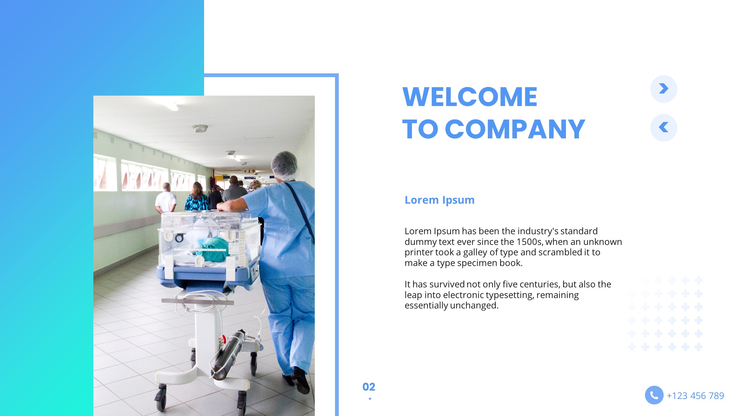 Hospital & Health Care Training Powerpoint, Presentation Templates