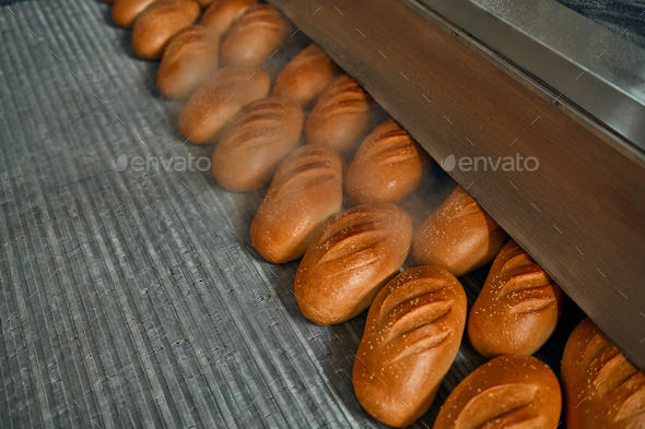 Bakery Stock Photo by ORION_production | PhotoDune