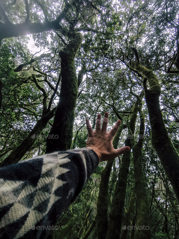 Man hand against green dark forest trees woods in outdoor leisure ...