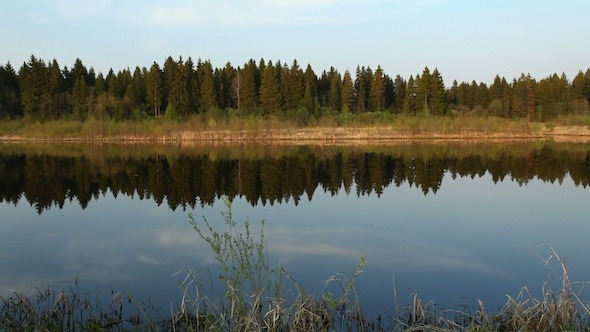 Reflections Of Pine Trees In Mirror Of Calm Water , Stock Footage ...