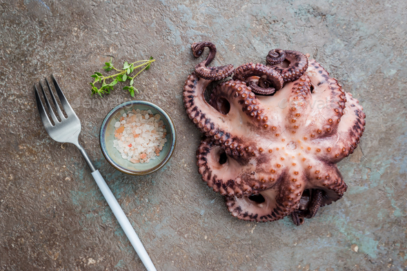 Boiled fresh octopus Stock Photo by ipolly80 | PhotoDune