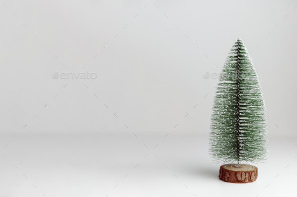 Miniature evergreen tree on white background, template Stock Photo by ...